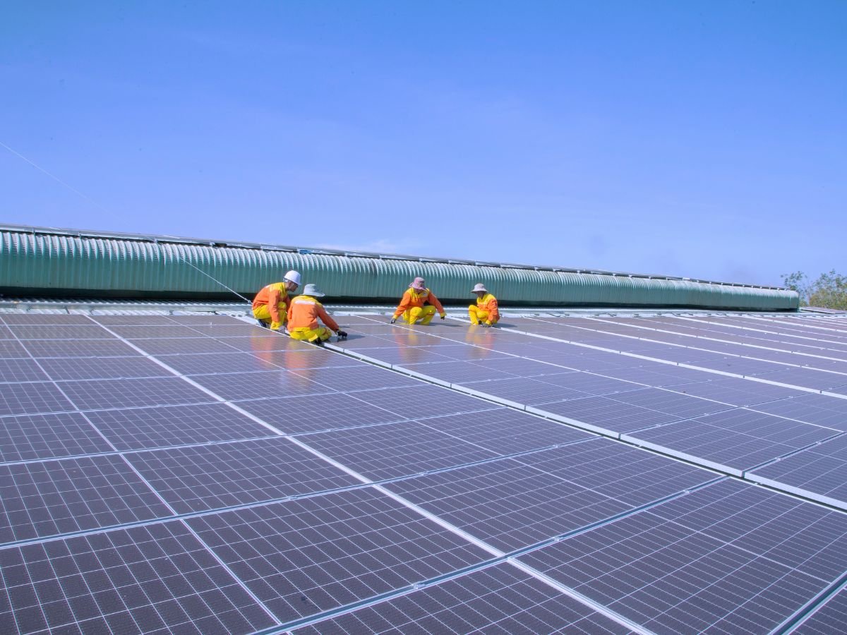 NTPC Group Starts Nokh Solar PV Project, Total Capacity Reaches 80,708 ...